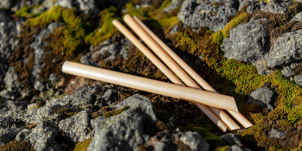 Do compostable straws break down? Reasons to not use paper straws ...